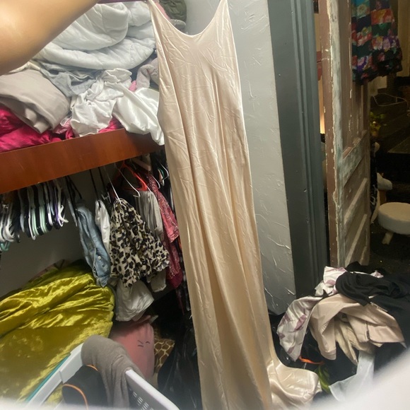 alchemy joomee | Dresses | Vintage Floor Length Beige Silk Dress ...